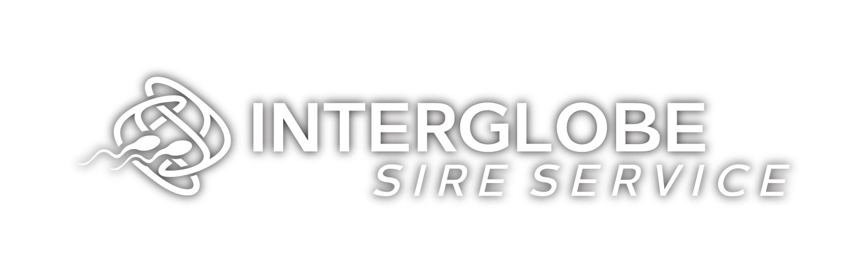 Interglobe